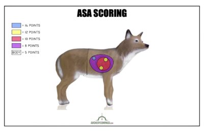 How to Score 3D Archery Targets - Archery Compass