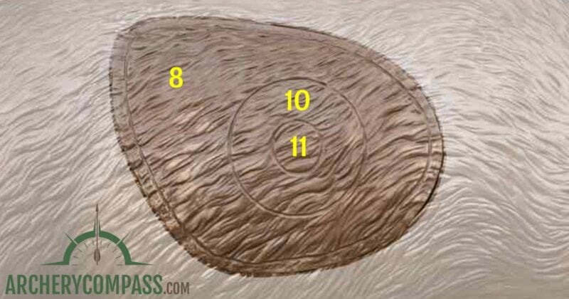 How to Score 3D Archery Targets - Archery Compass