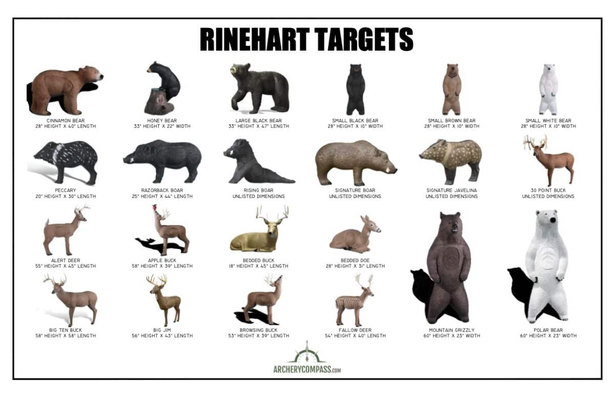 How to Score 3D Archery Targets - Archery Compass