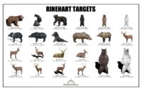 How to Score 3D Archery Targets - Archery Compass
