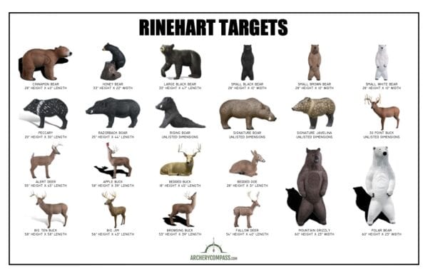 How to Score 3D Archery Targets - Archery Compass