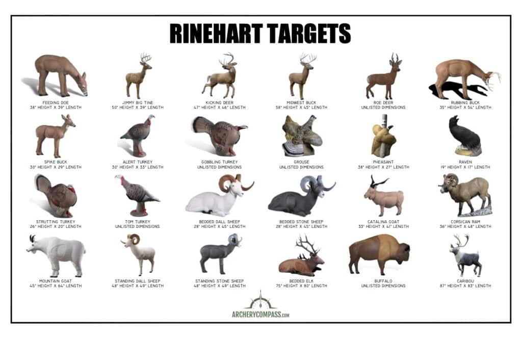 How to Score 3D Archery Targets - Archery Compass