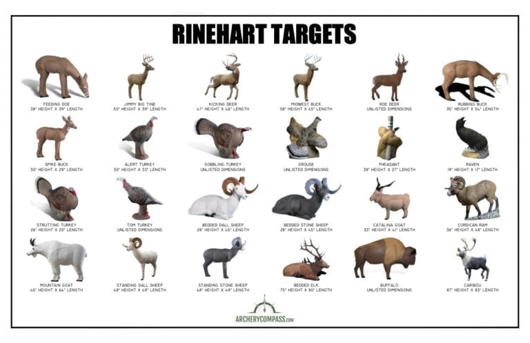 How to Score 3D Archery Targets - Archery Compass