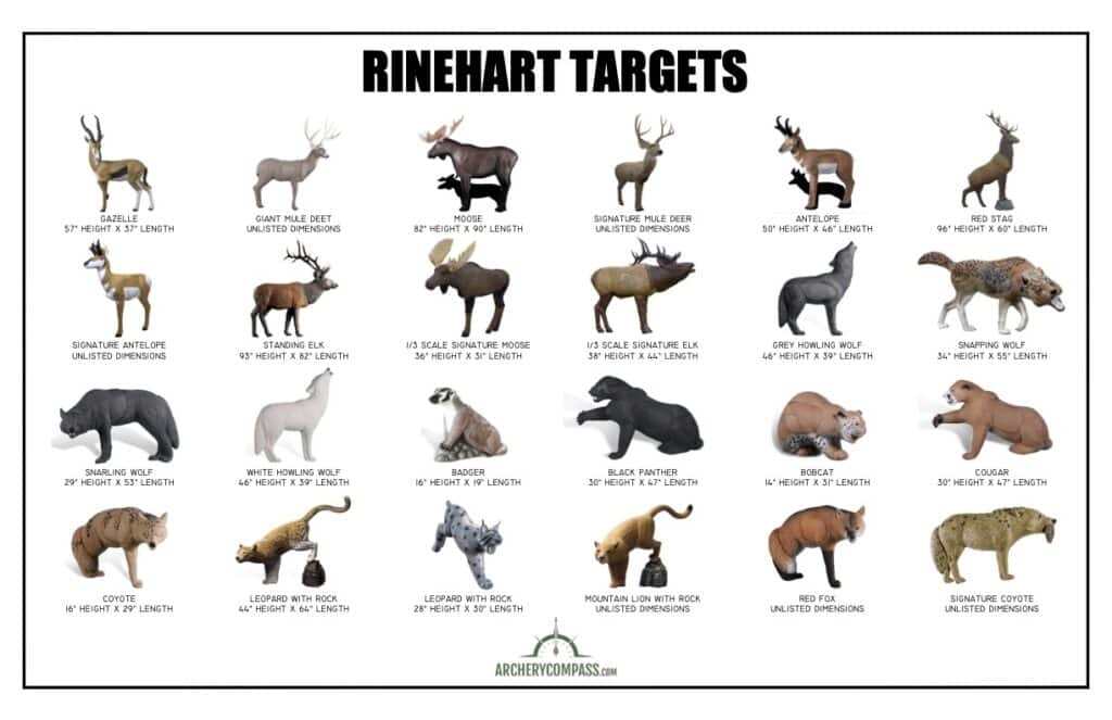 How to Score 3D Archery Targets - Archery Compass