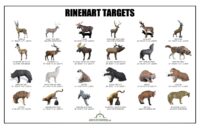 How to Score 3D Archery Targets - Archery Compass