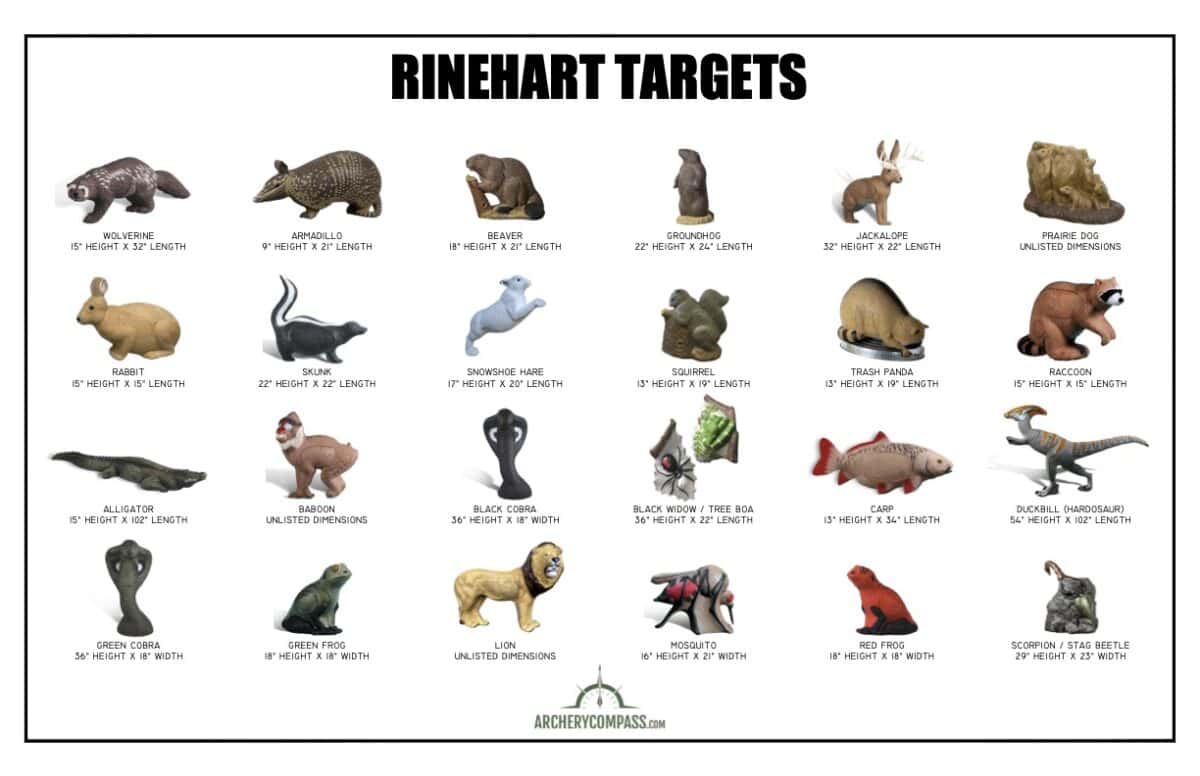 How to Score 3D Archery Targets - Archery Compass
