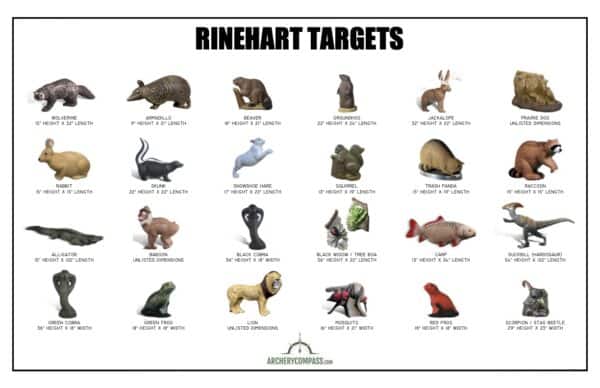 How to Score 3D Archery Targets - Archery Compass