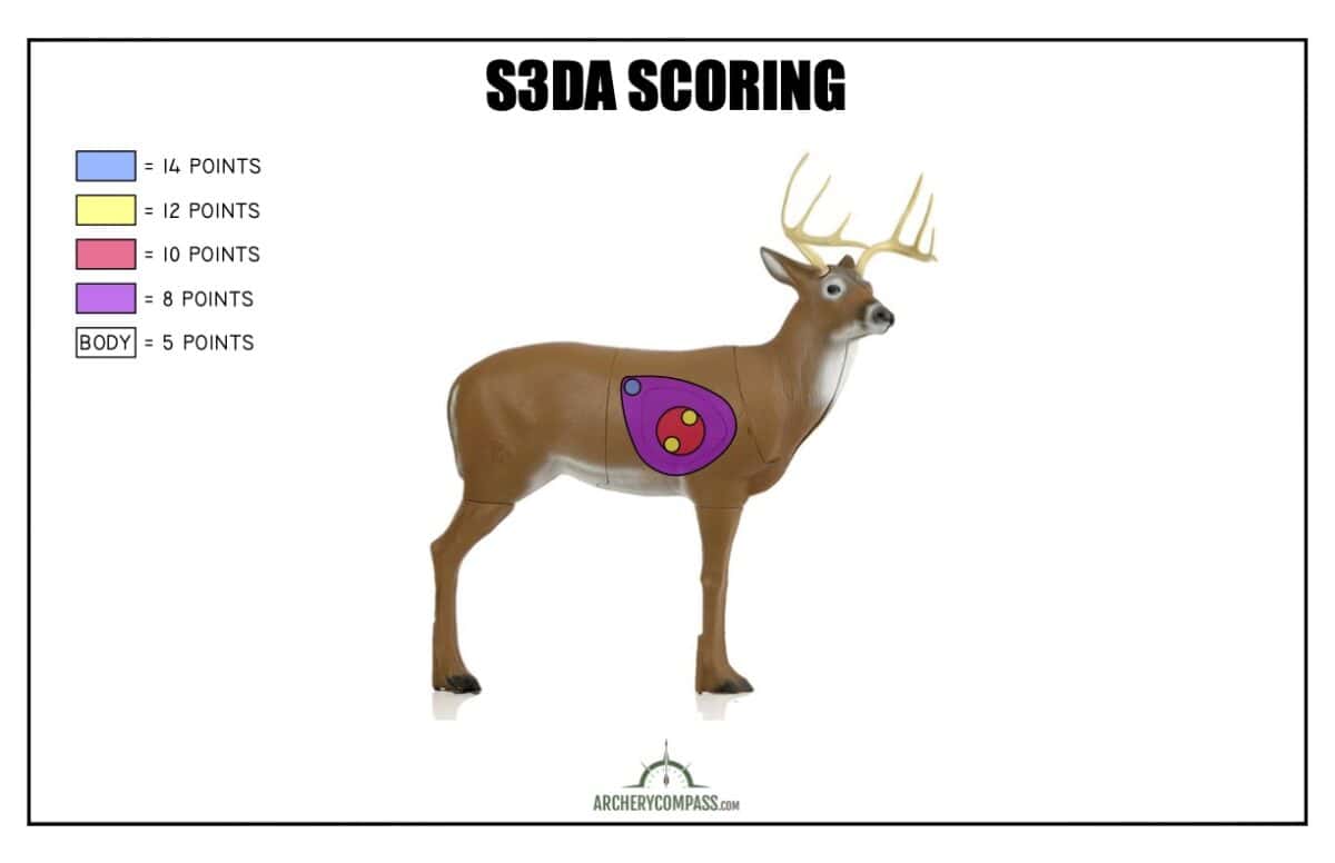How to Score 3D Archery Targets - Archery Compass